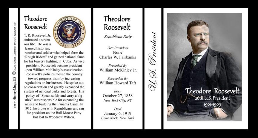 26th US President Theodore Roosevelt - HistoryMugs.us