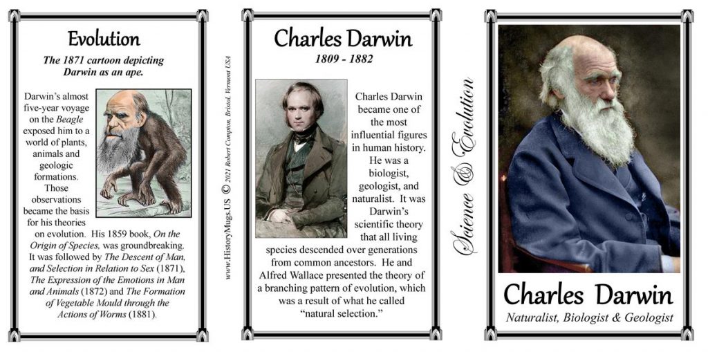 Darwin, Charles - Scientific Revolution - HistoryMugs.us